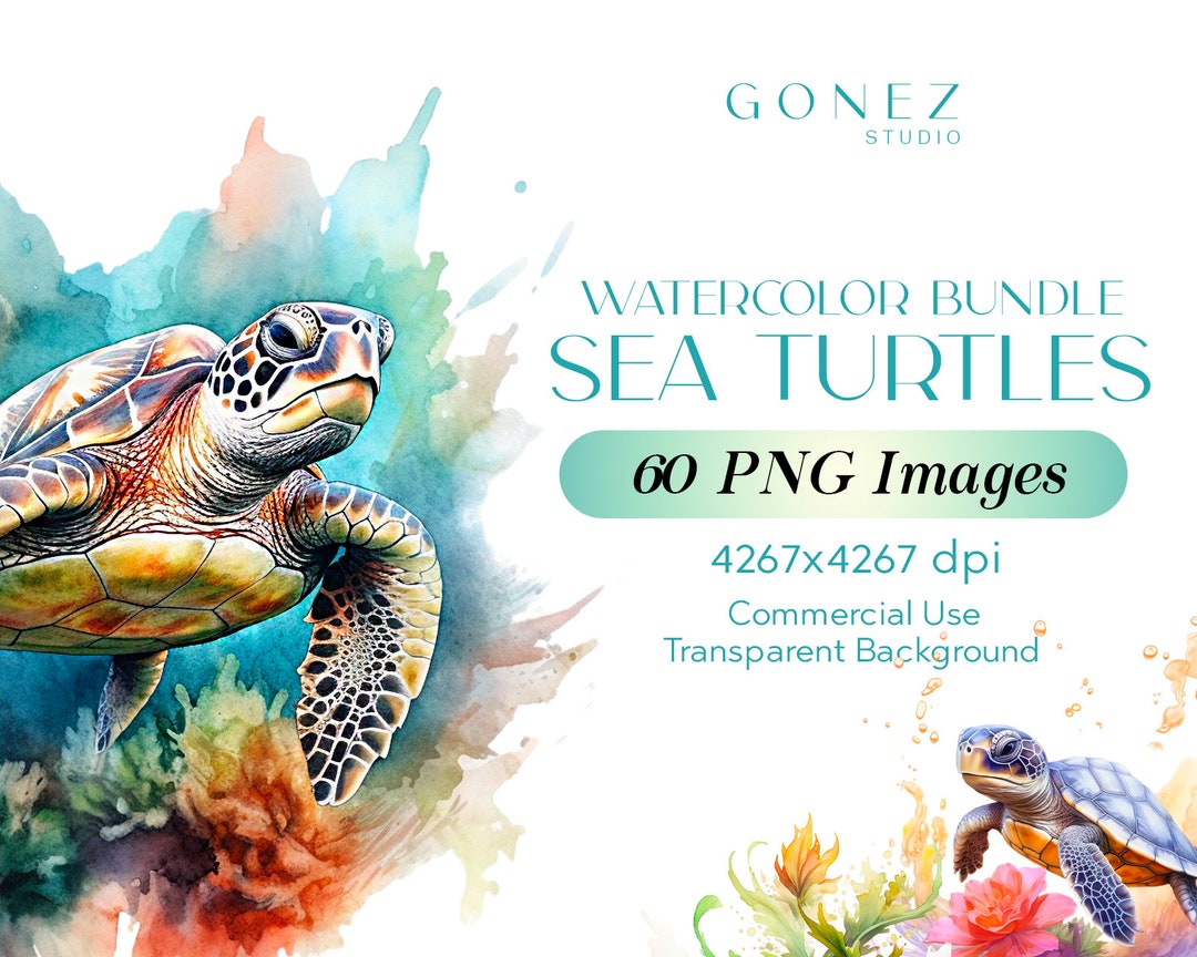 Watercolor Sea Turtles Clip Art, Sea Turtle Digital Downloads, Sea ...