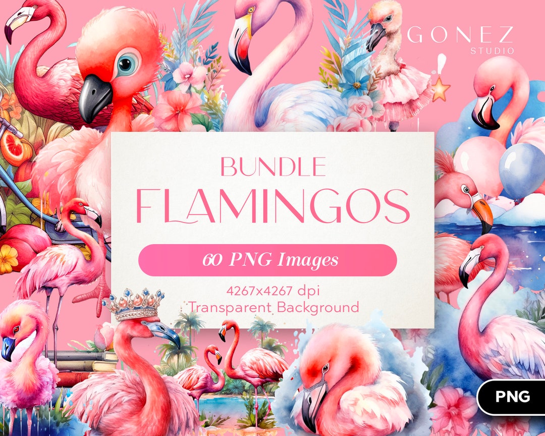 Watercolor Flamingos Clipart Bundle, Tropical Flamingos, Flamingo PNG ...