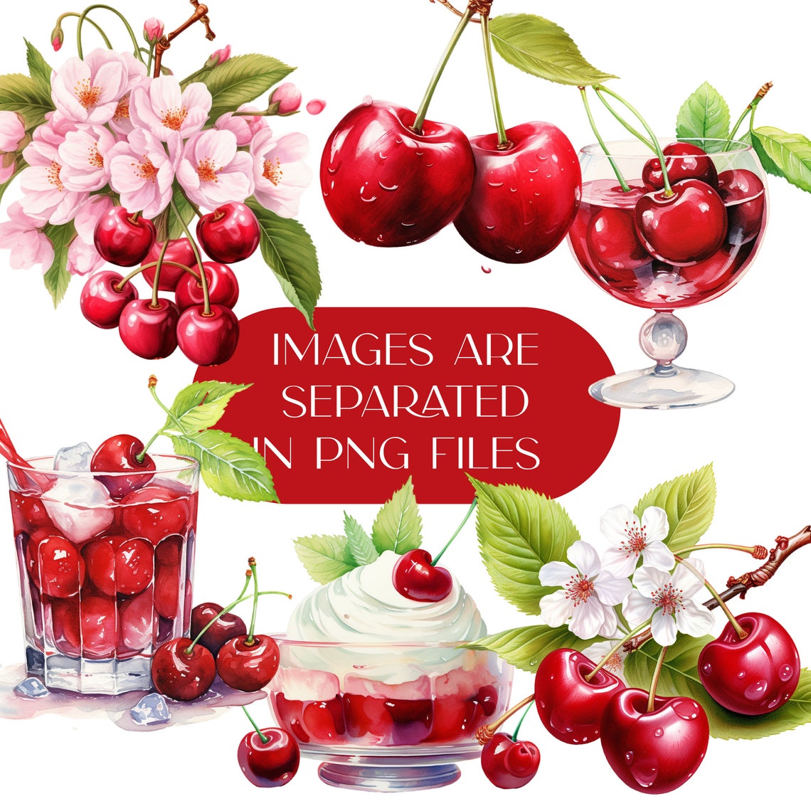 Watercolor Cherry Clipart Cherries PNG Illustrations - Etsy