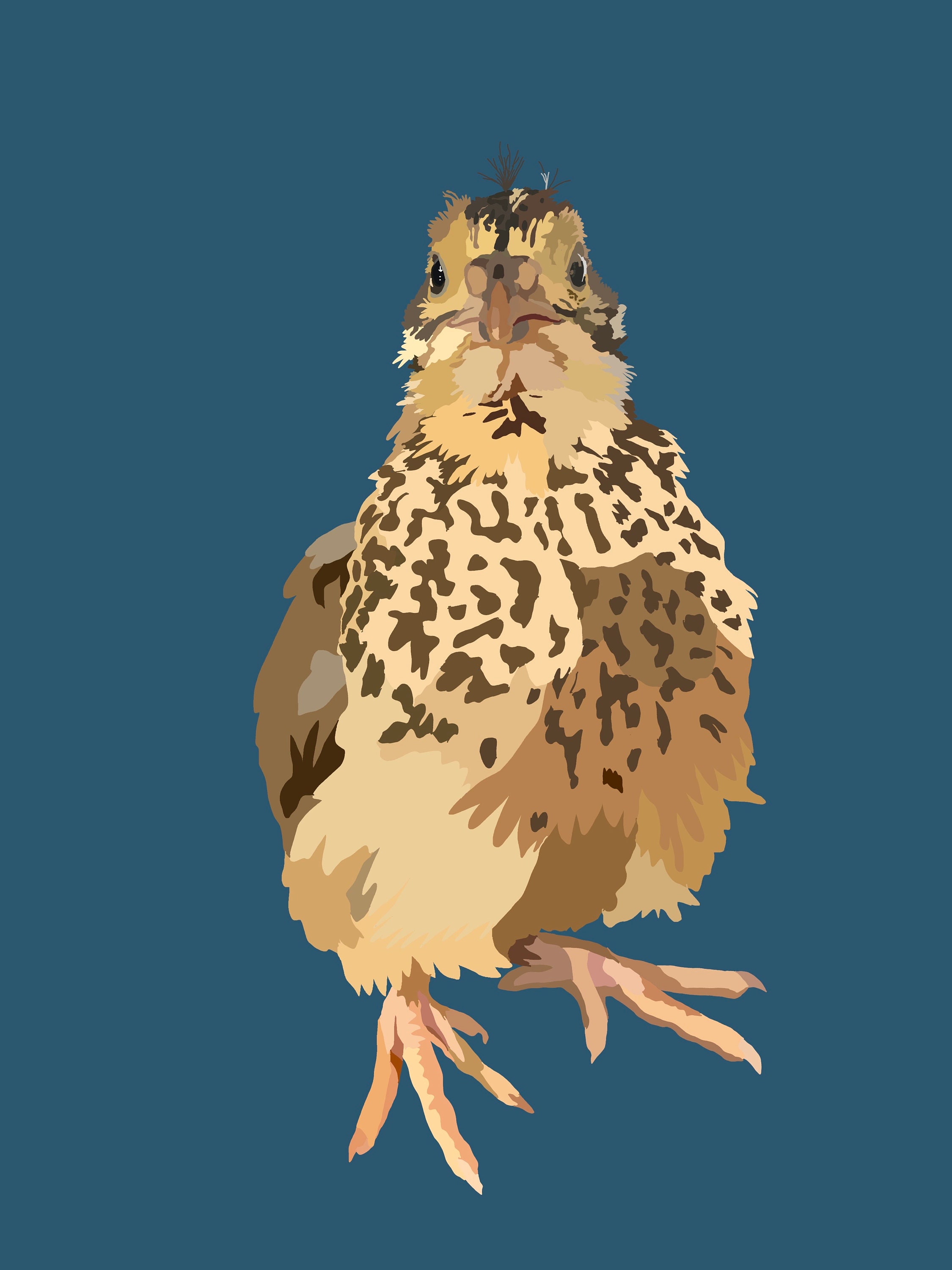 Quail Printable Animal Painting (NAVY BACKGROUND) - Etsy