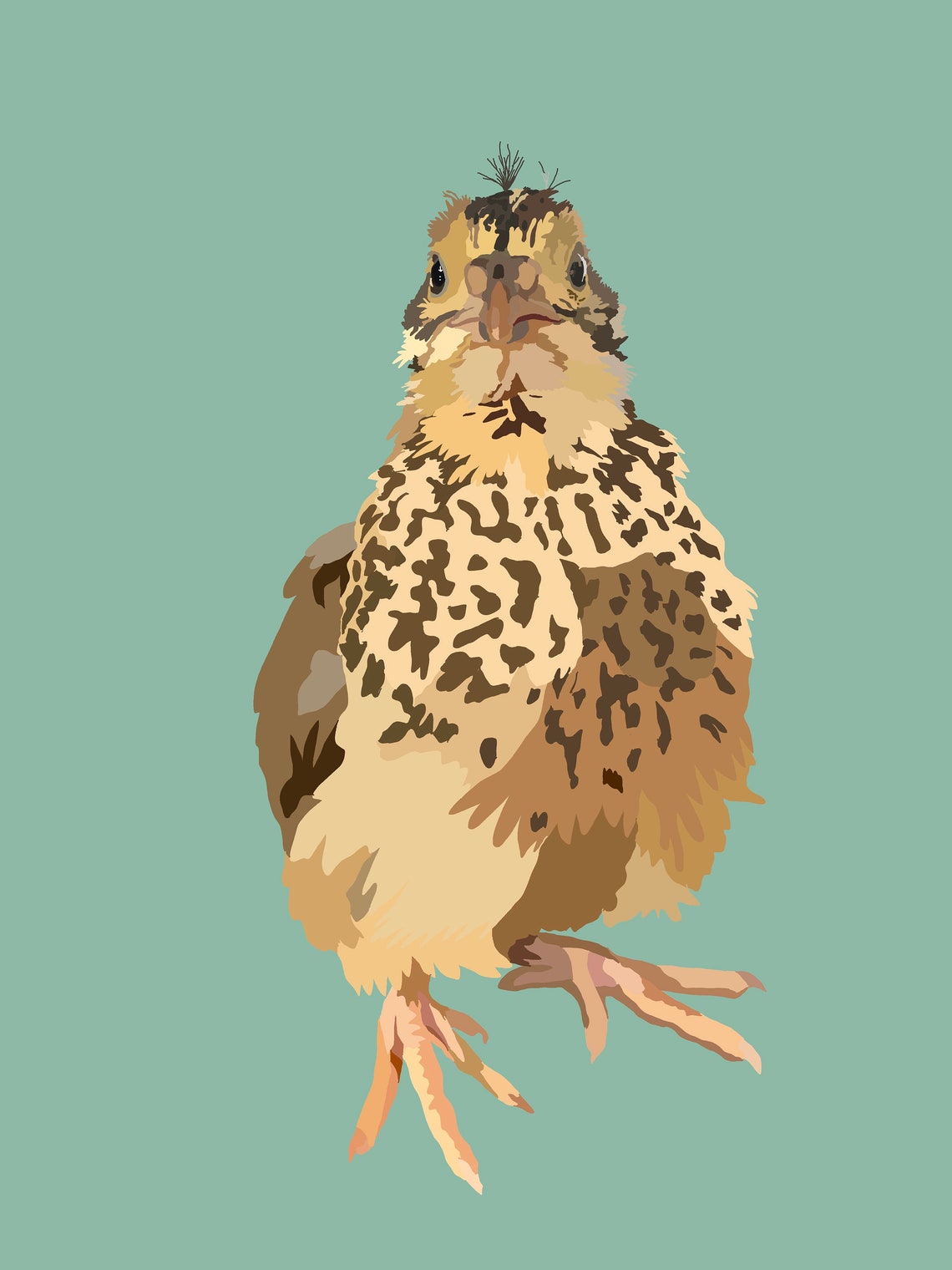 Quail Printable Animal Painting (NAVY BACKGROUND) - Etsy