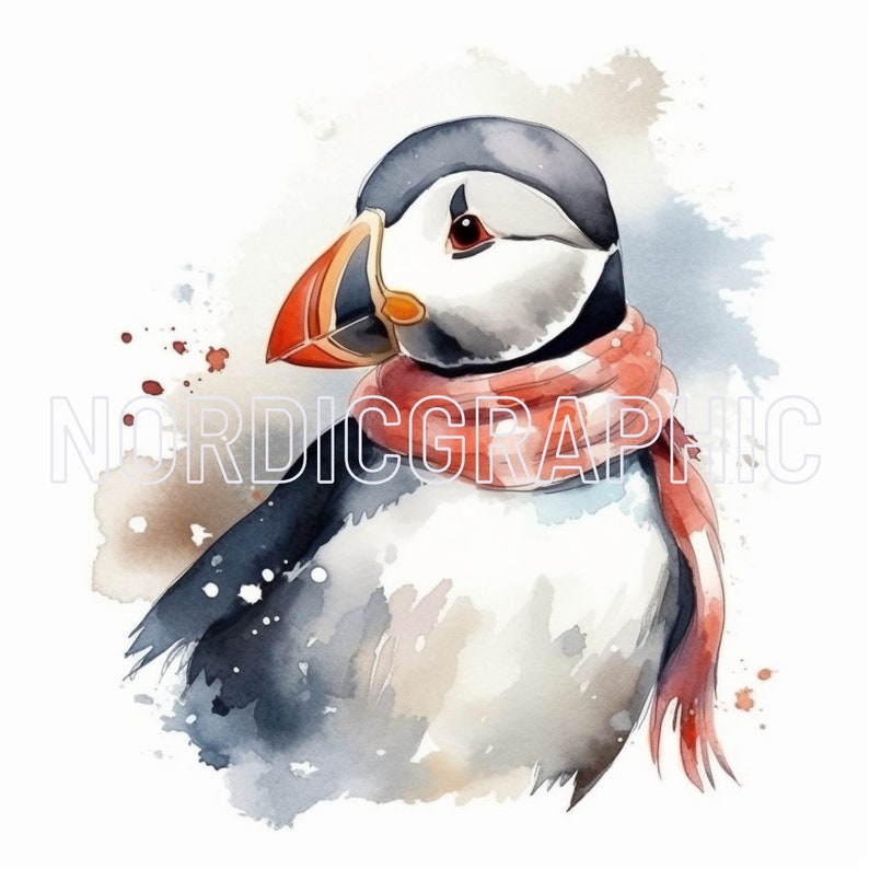 Watercolor Puffin Clipart Bundle, White Background Puffins, Watercolor ...