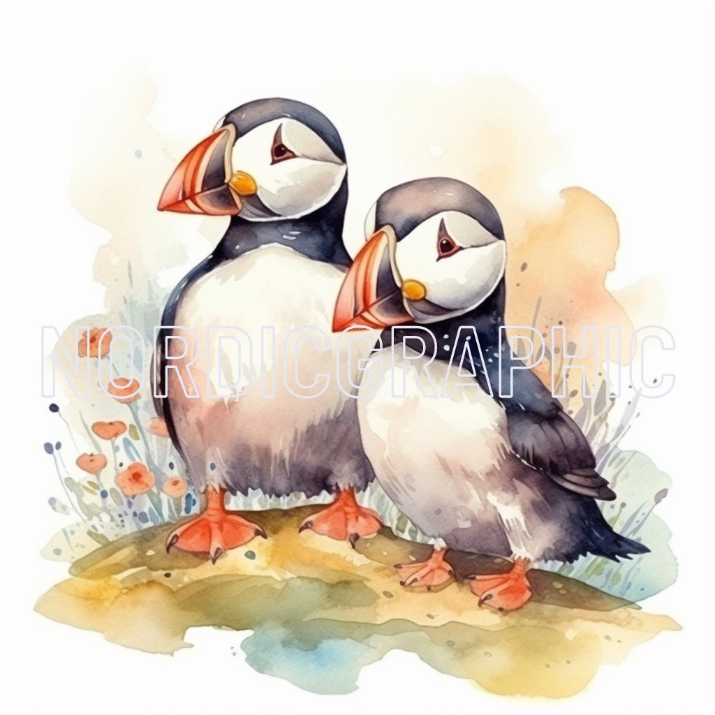 Watercolor Puffin Clipart Bundle, White Background Puffins, Watercolor ...