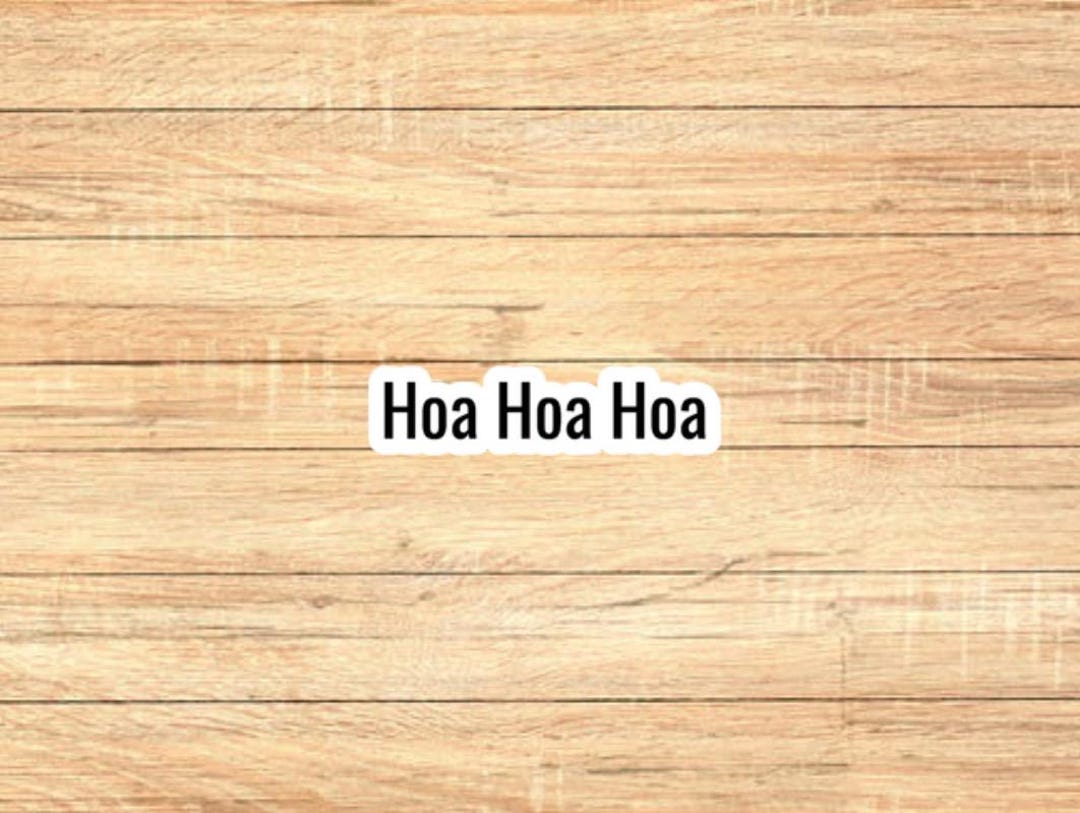 Hoa Hoa Hoa Sticker | Book Stickers | Kindle Stickers | Holographic ...