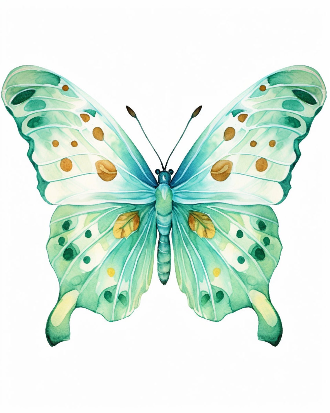 30 Butterfly Coloring Pages - Etsy