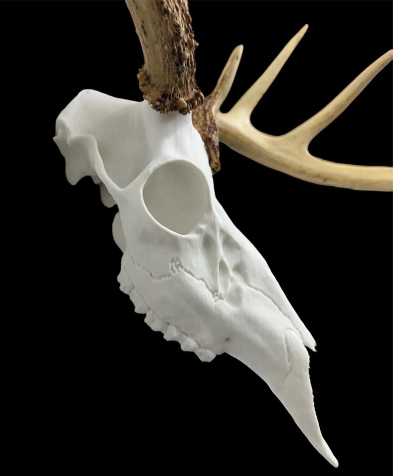Self-hanging Reproduction Fake Deer Skull Mount Kit W/ Antler ...