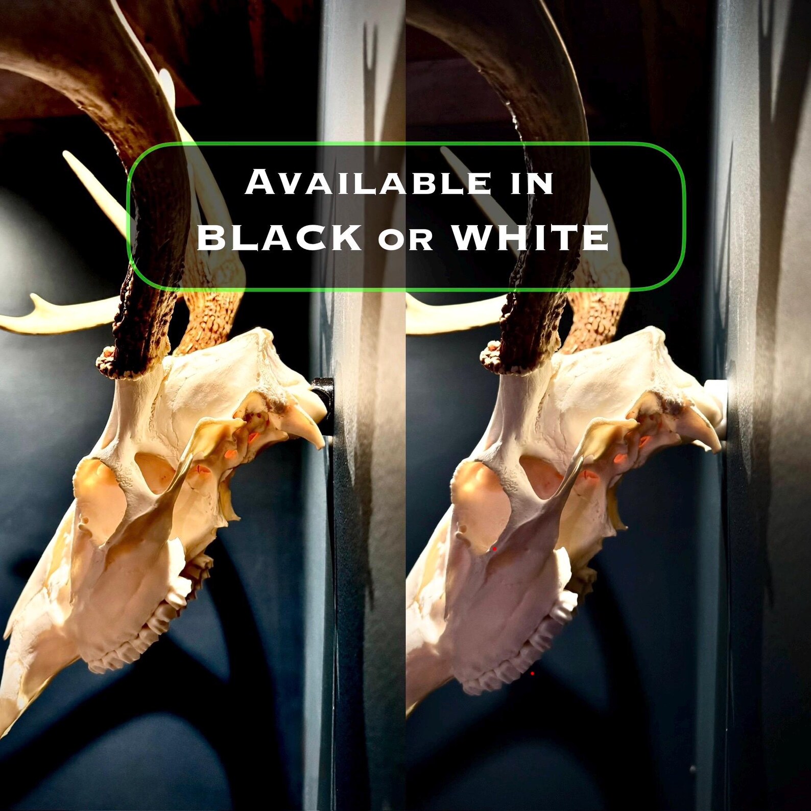The Buck Plug - Integrated Deer Skull Hanger for European Skull Mounts ...