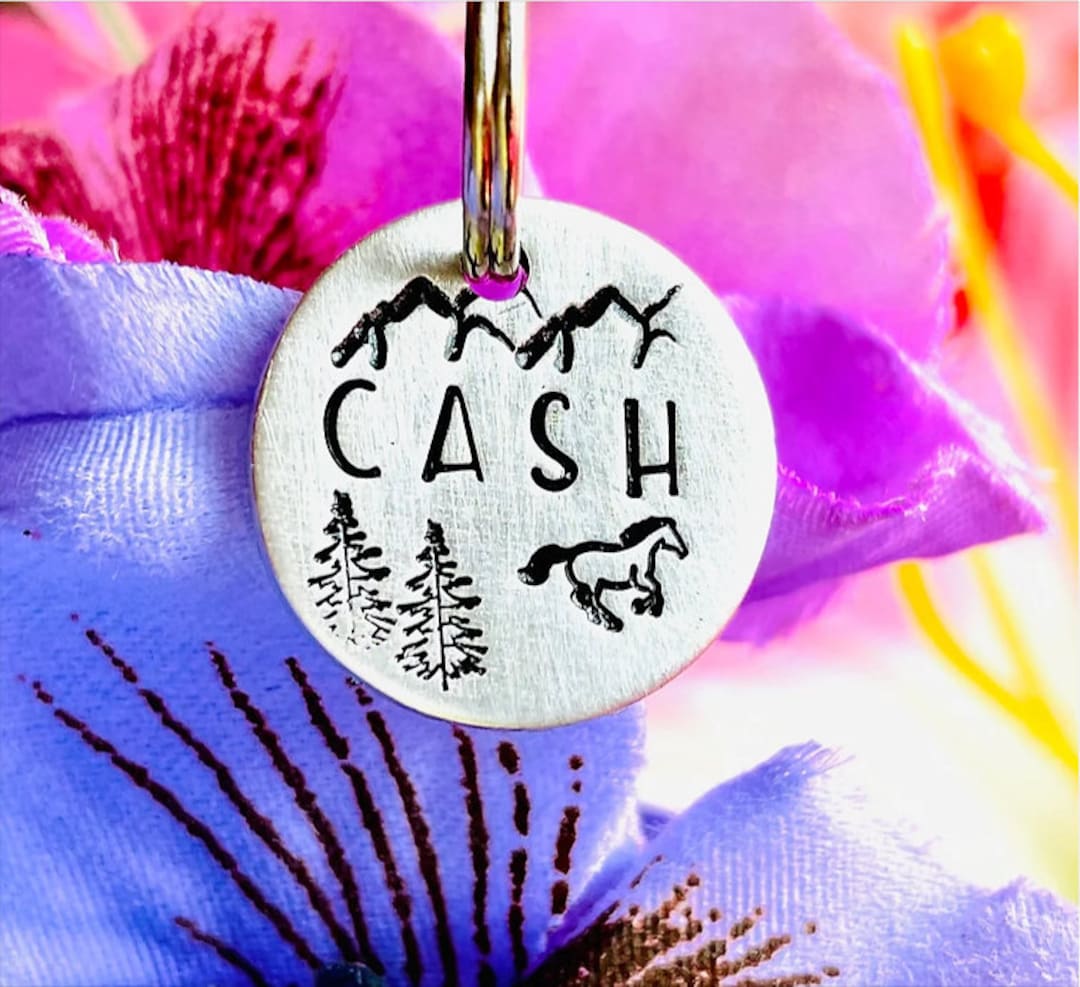 Horse ID Tag Horse Gifts Horse Halter Tag Horse Owner Gift Horse Bridal ...