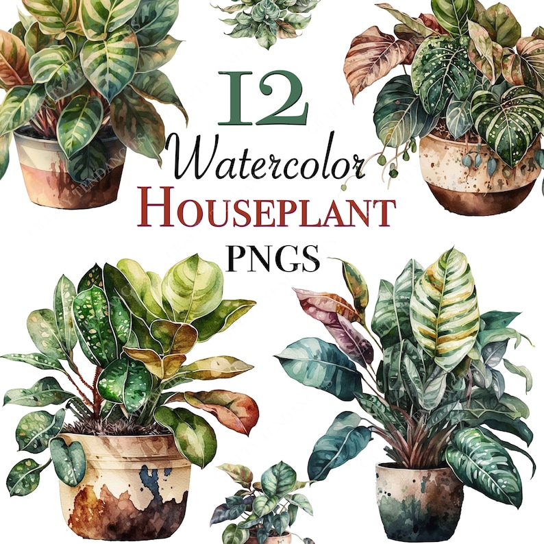 Watercolor House Plant Clipart PNG Files for Instant Download House ...
