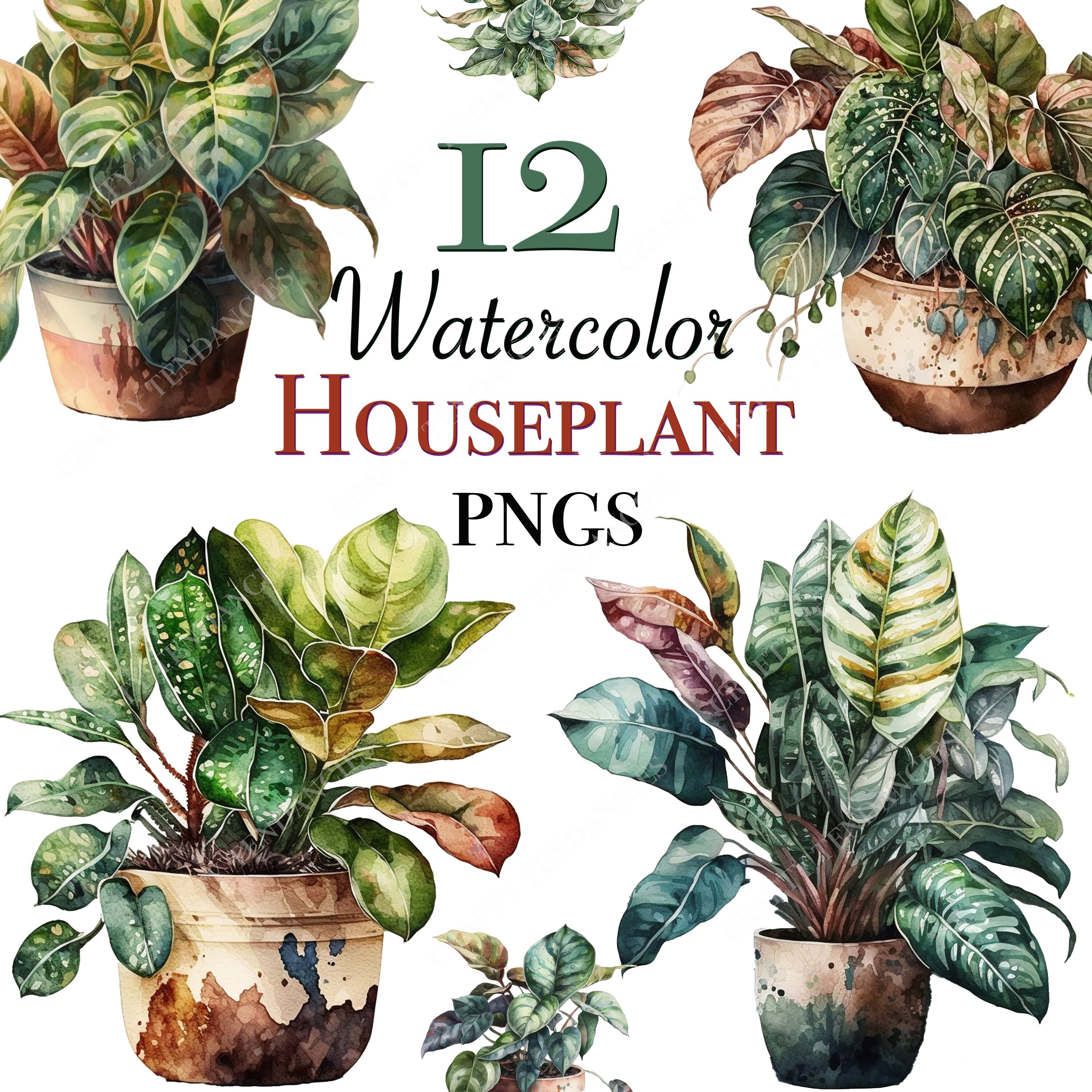 Watercolor House Plant Clipart PNG Files for Instant Download House ...