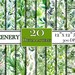 Greenery and Foliage Digital Paper Bundle, 20 Watercolor Greenery ...