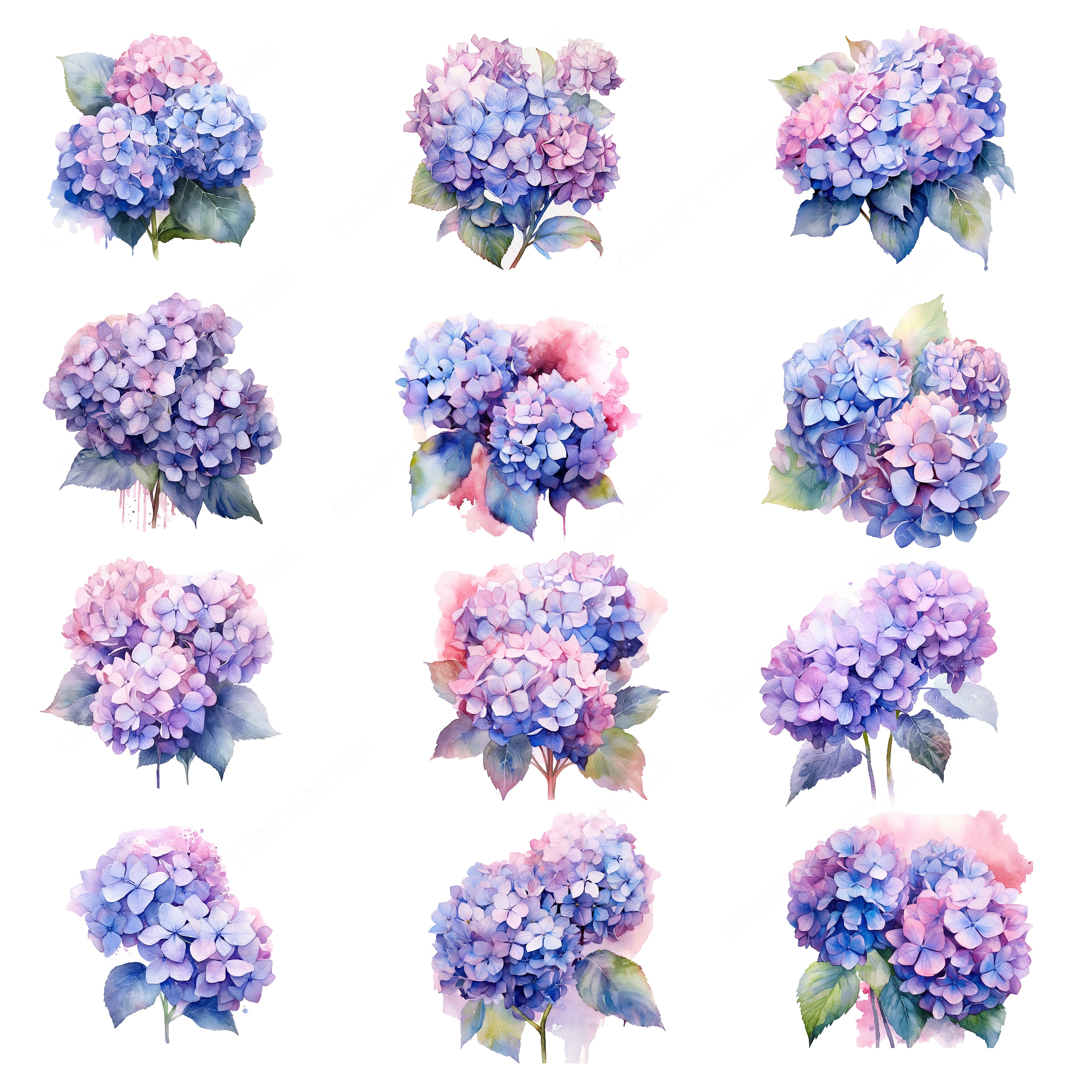 Hydrangea Flower Clipart for Digital Download, Watercolor Hydrangea ...