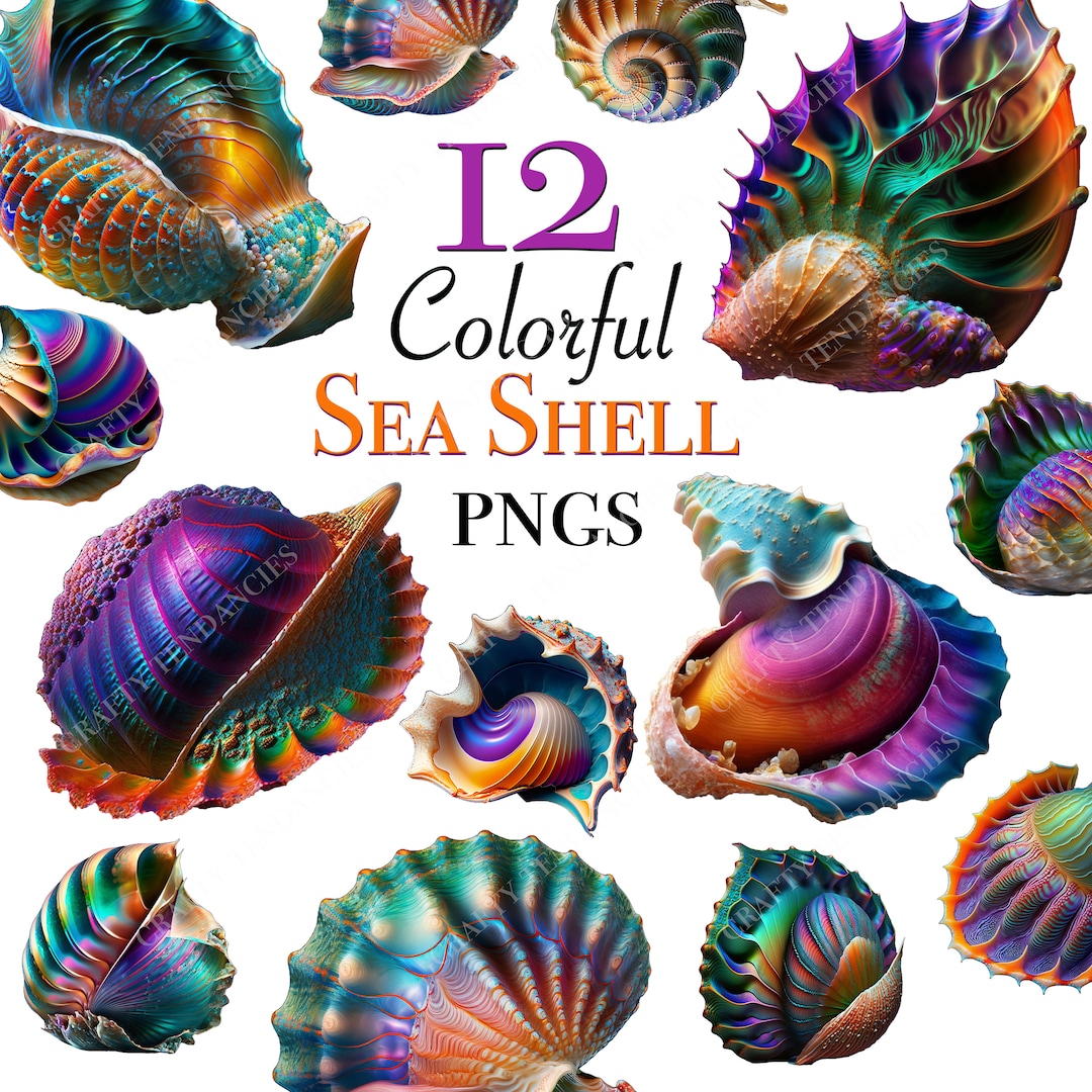 Sea Shell Clipart PNG Files for Instant Download Colorful Sea Shell ...