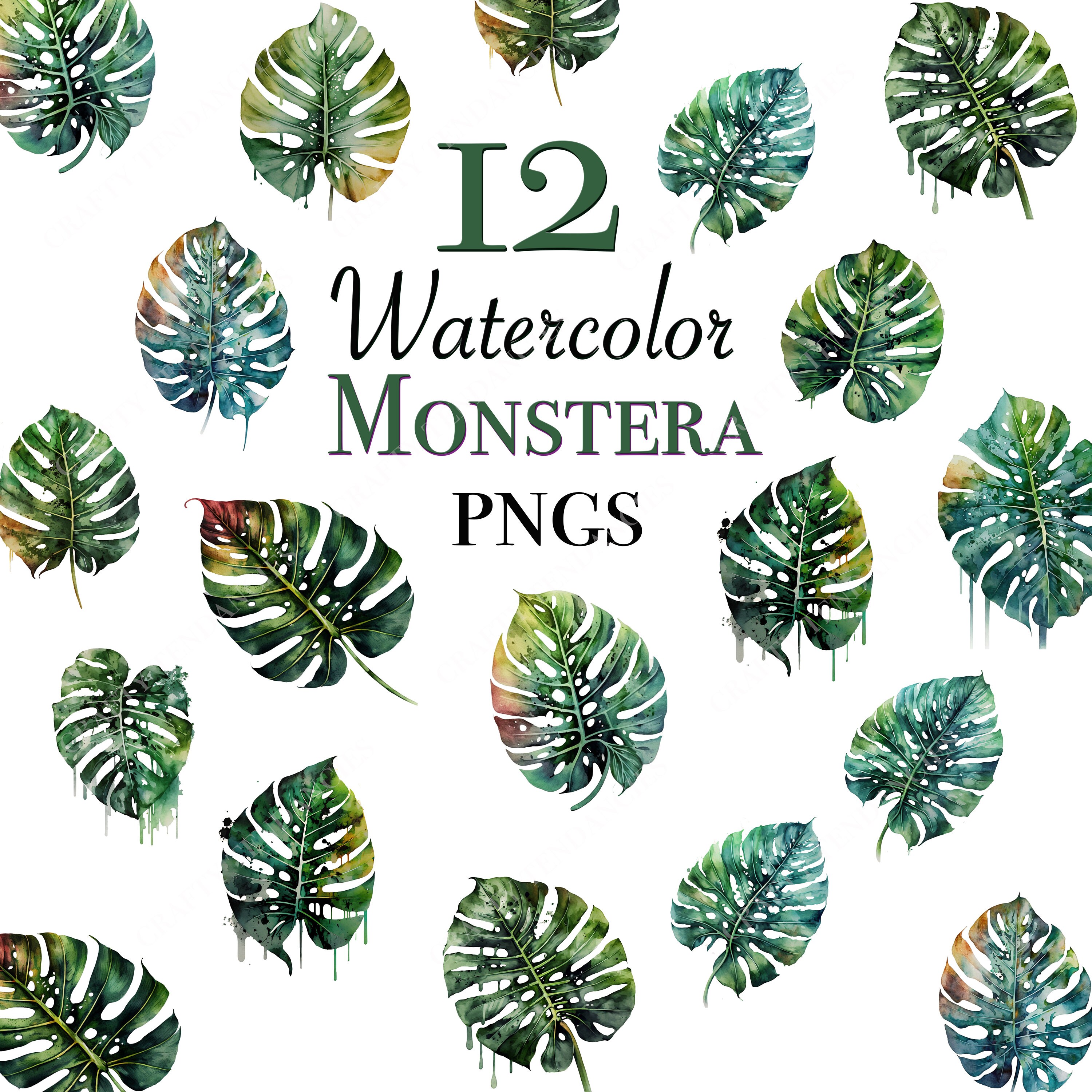 Watercolor Monstera Plant Clipart PNG Files for Instant Download ...