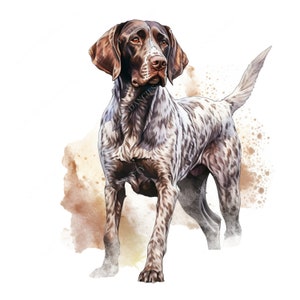 German Pointer Dog Clipart PNG Files for Digital Download, Pointer Dog ...