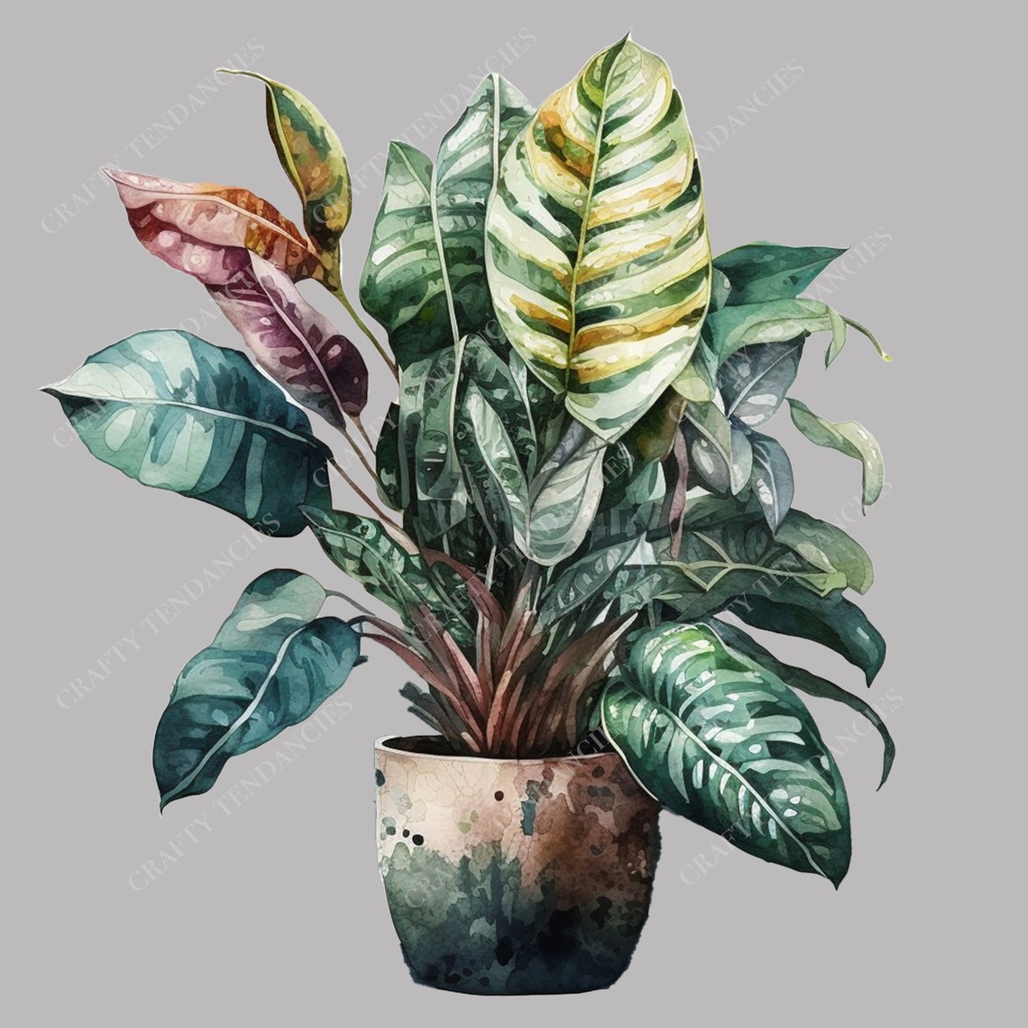 Watercolor House Plant Clipart PNG Files for Instant Download - Etsy