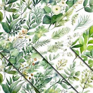 Greenery and Foliage Digital Paper Bundle, 20 Watercolor Greenery ...
