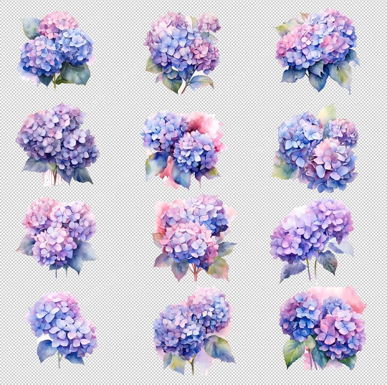 Hydrangea Flower Clipart for Digital Download Watercolor - Etsy