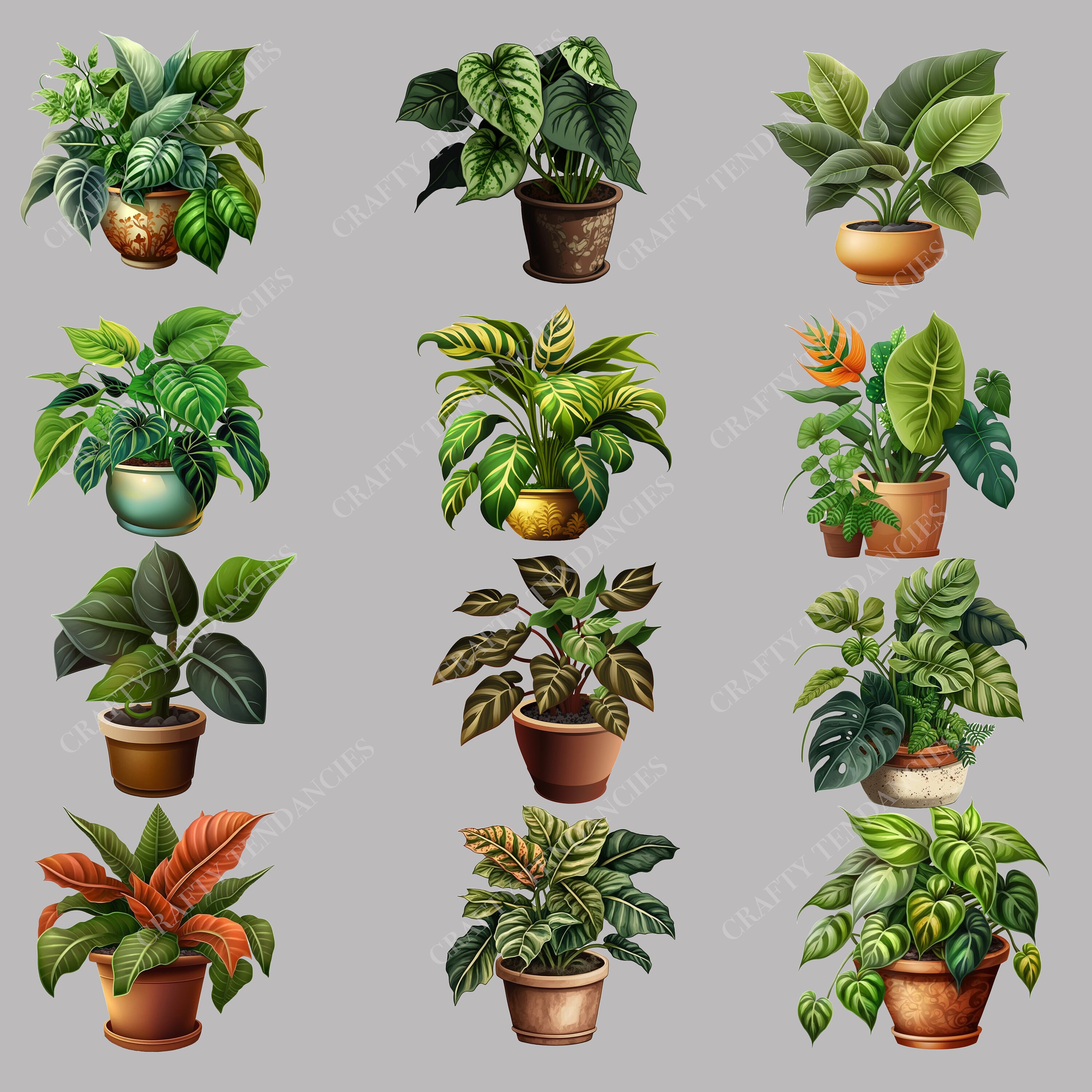 House Plant Clipart PNG Files for Instant Download Realistic - Etsy