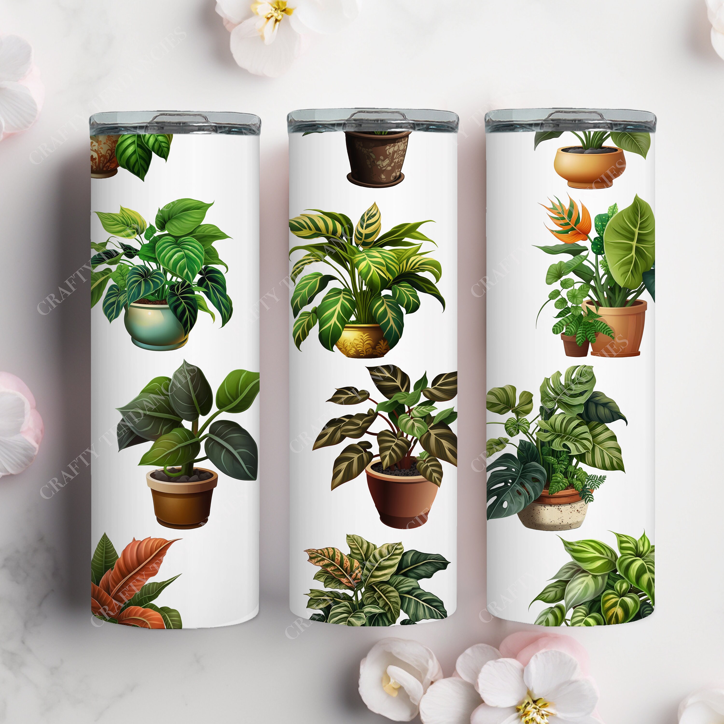 House Plant Clipart PNG Files for Instant Download Realistic House ...