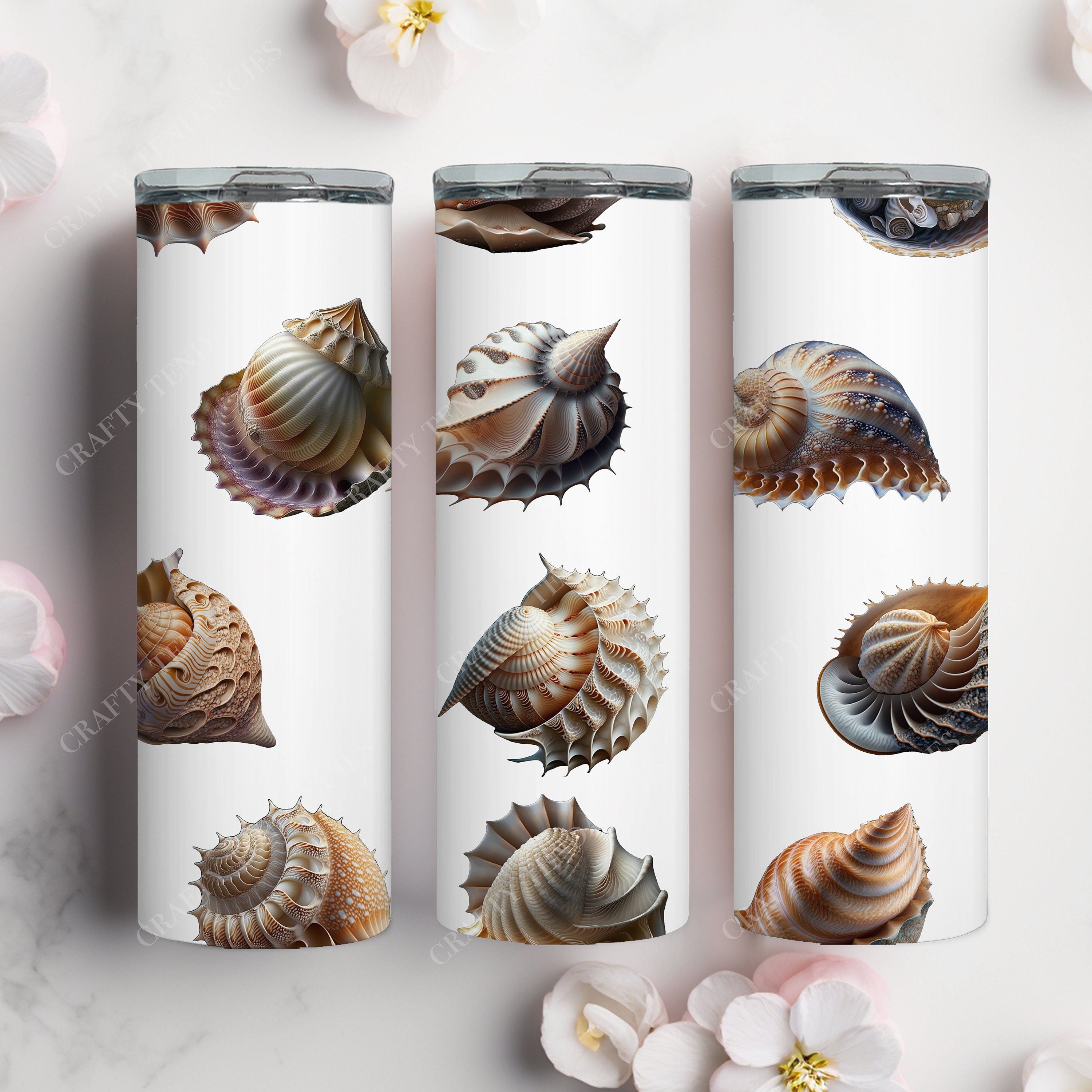 Sea Shell Clipart PNG Files for Instant Download Realistic Sea Shell ...