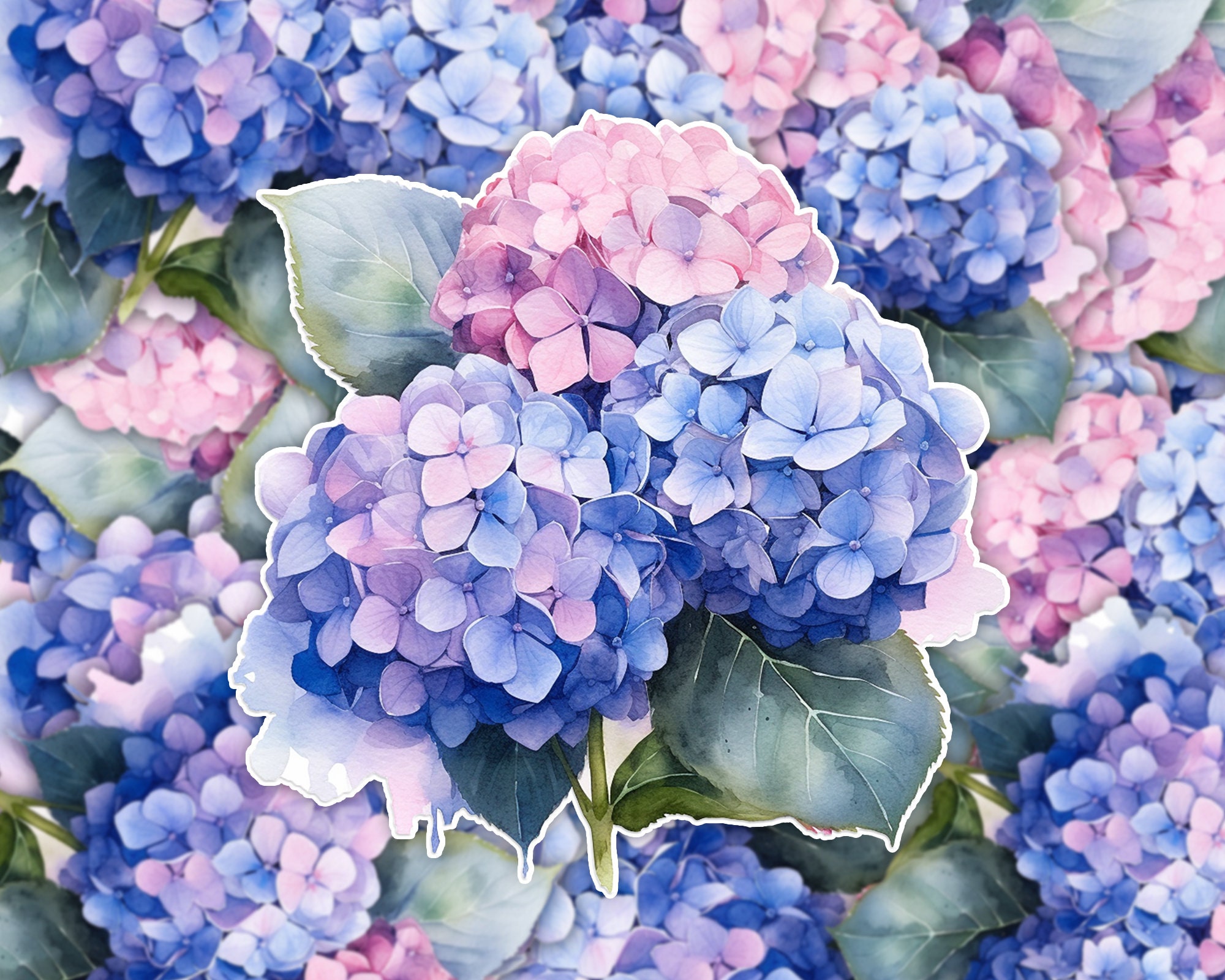 Hydrangea Flower Clipart for Digital Download, Watercolor Hydrangea Designs for Sticker or ...