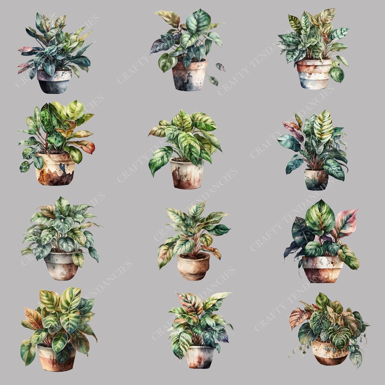 Watercolor House Plant Clipart PNG Files for Instant Download - Etsy