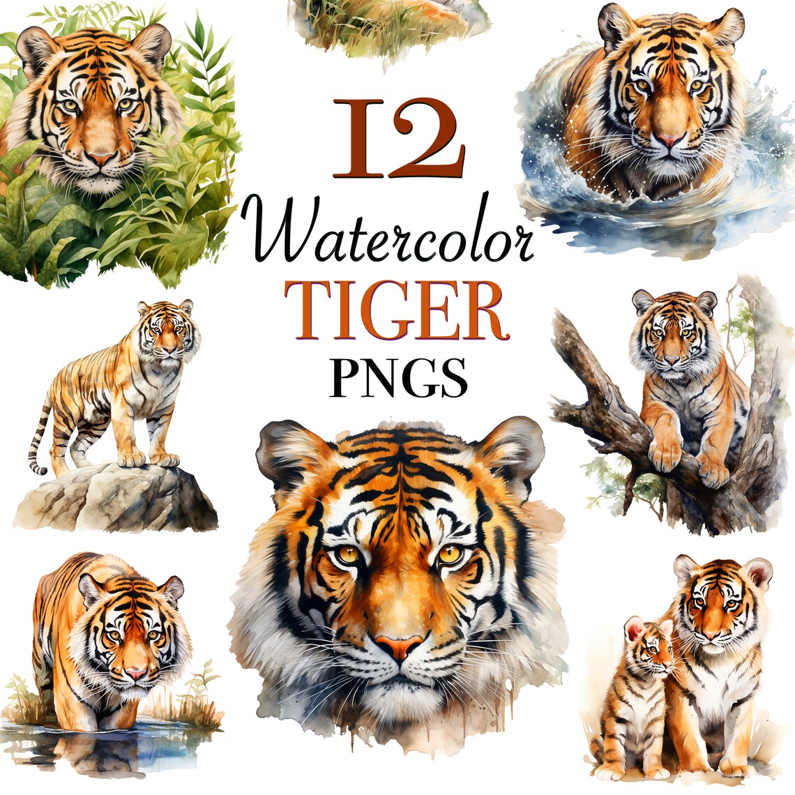 Watercolor Tiger Clipart Files for Instant Download Tiger PNG - Etsy
