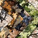 Camouflage Digital Paper Bundle, 20 Seamless Forest Camo Digital Paper ...
