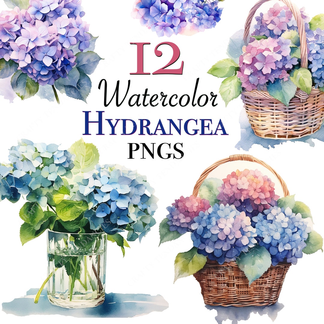 Hydrangea Flower Clipart for Digital Download, Watercolor Hydrangea ...