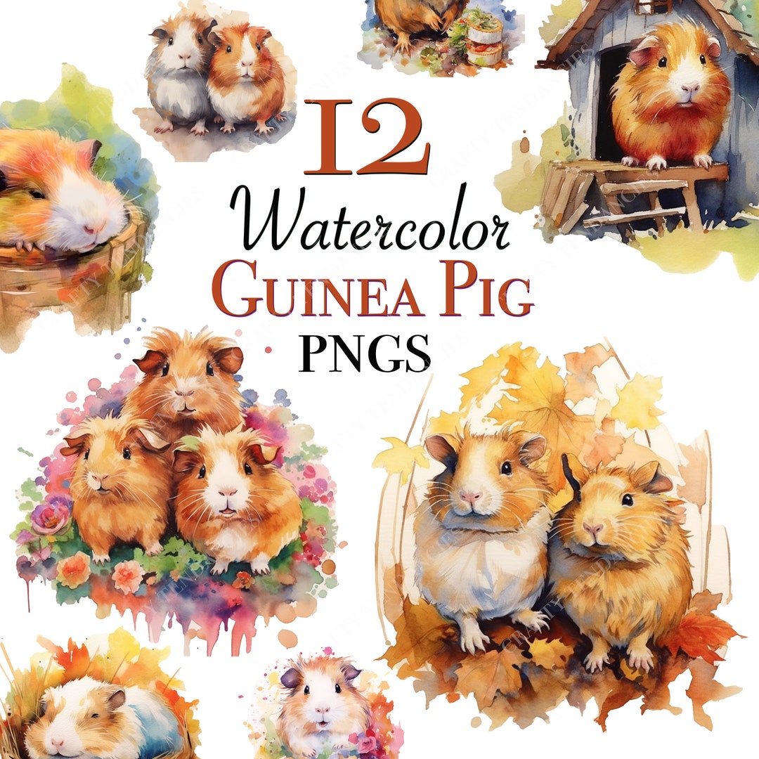 Guinea Pig Watercolor Clipart Files for Instant Download, Watercolor ...