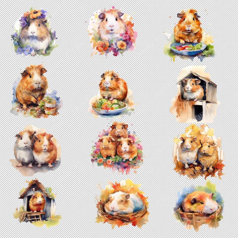 Guinea Pig Watercolor Clipart Files for Instant Download - Etsy