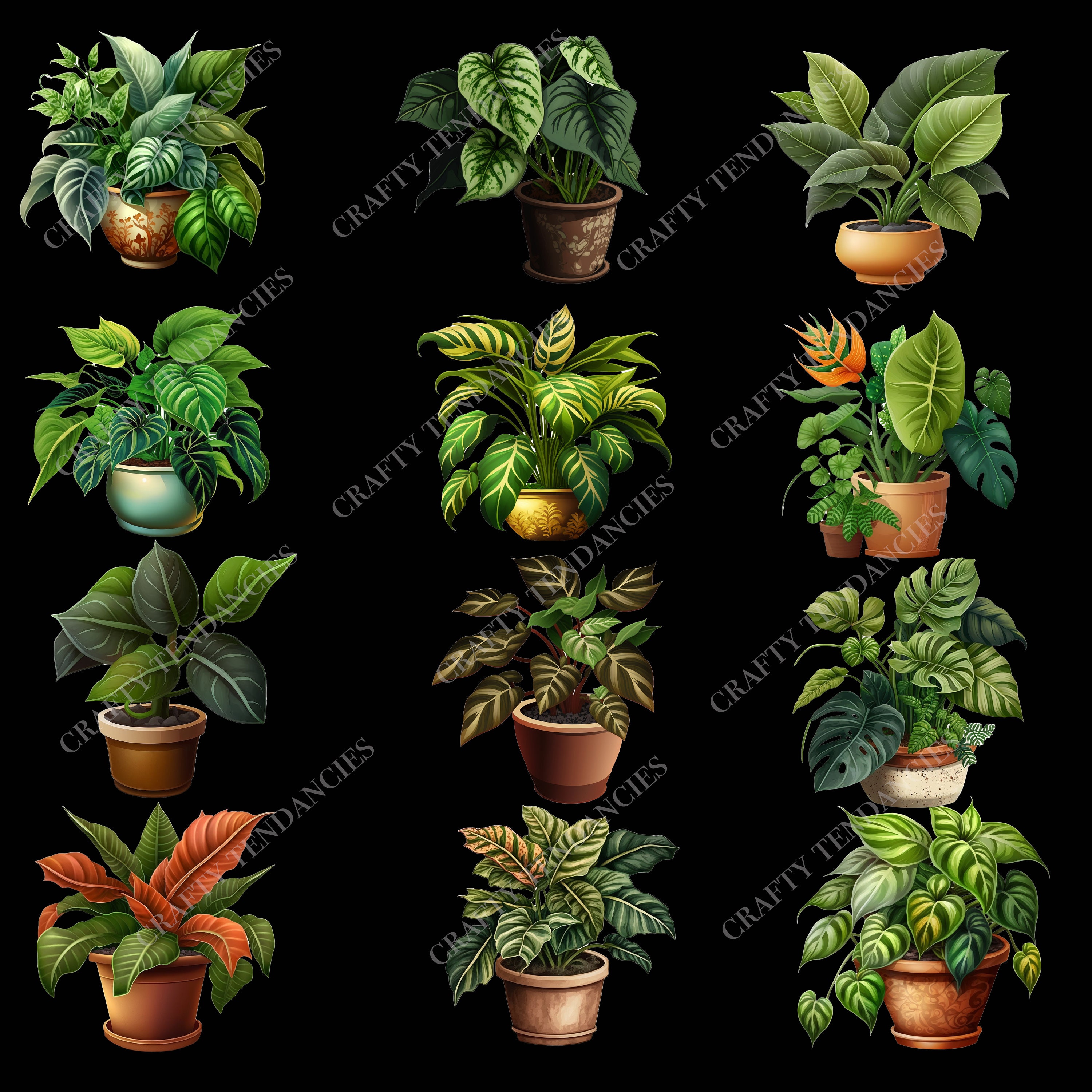 House Plant Clipart PNG Files for Instant Download Realistic House ...