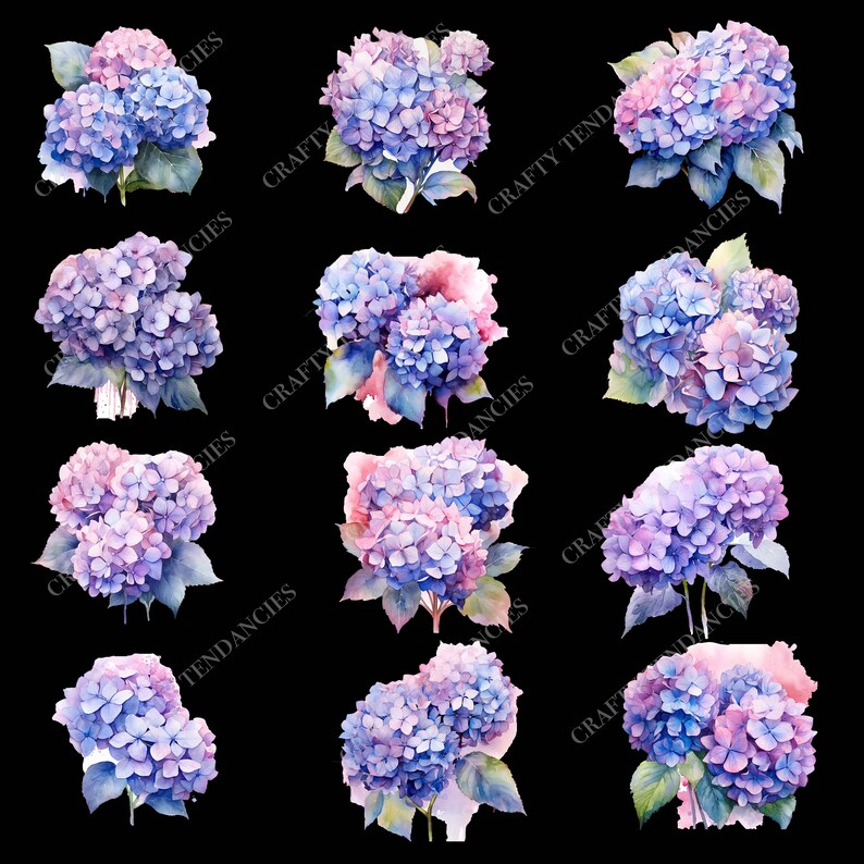 Hydrangea Flower Clipart for Digital Download Watercolor - Etsy
