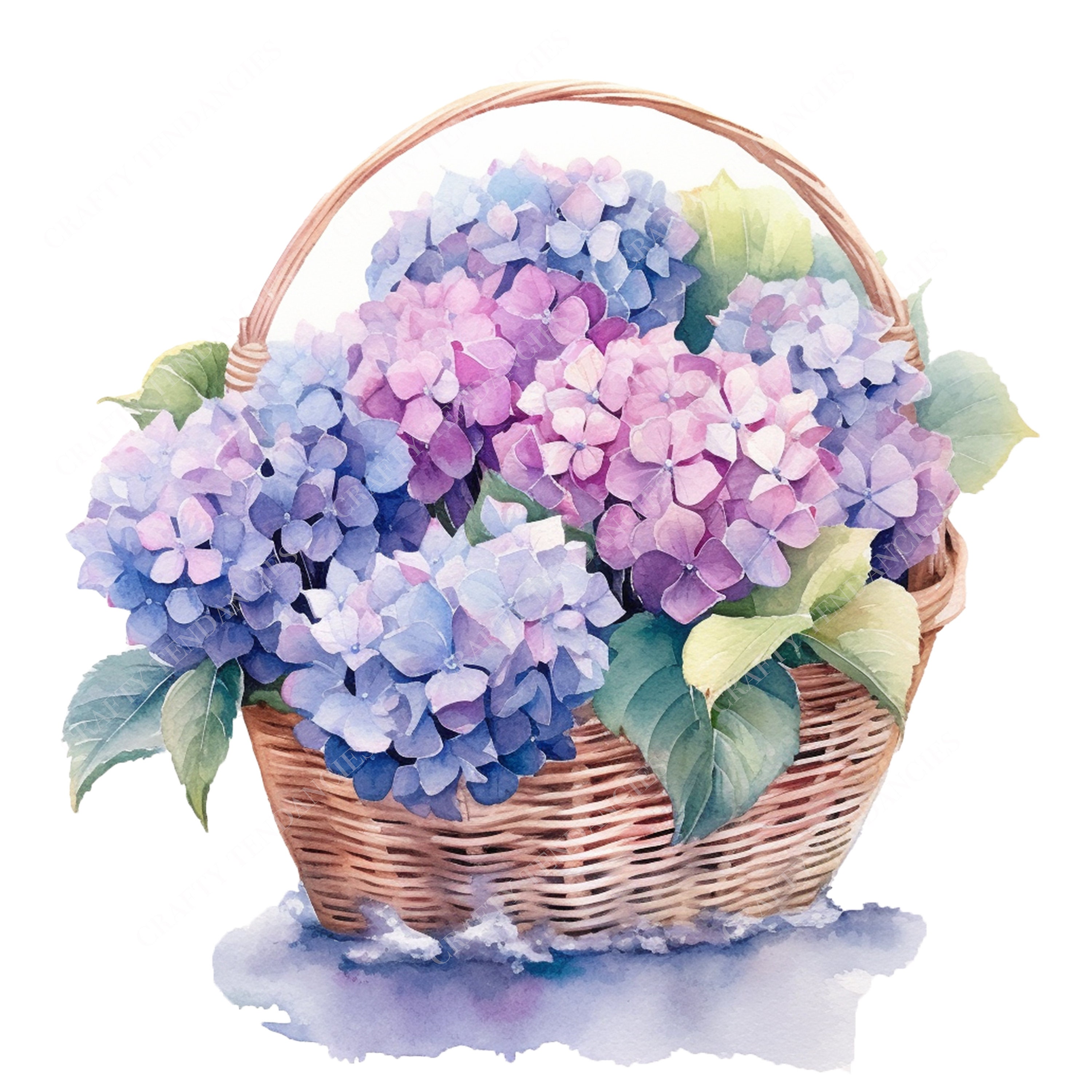 Hydrangea Flower Clipart for Digital Download, Watercolor Hydrangea ...