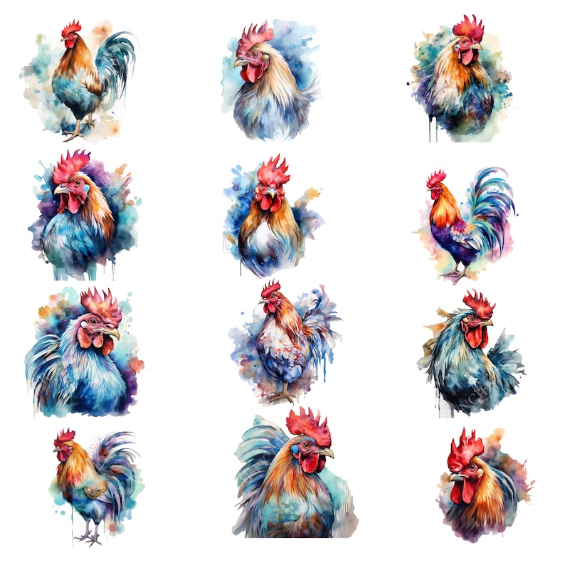 Rooster Clipart PNG Files, 12 Watercolor Rooster Clipart Images for POD ...