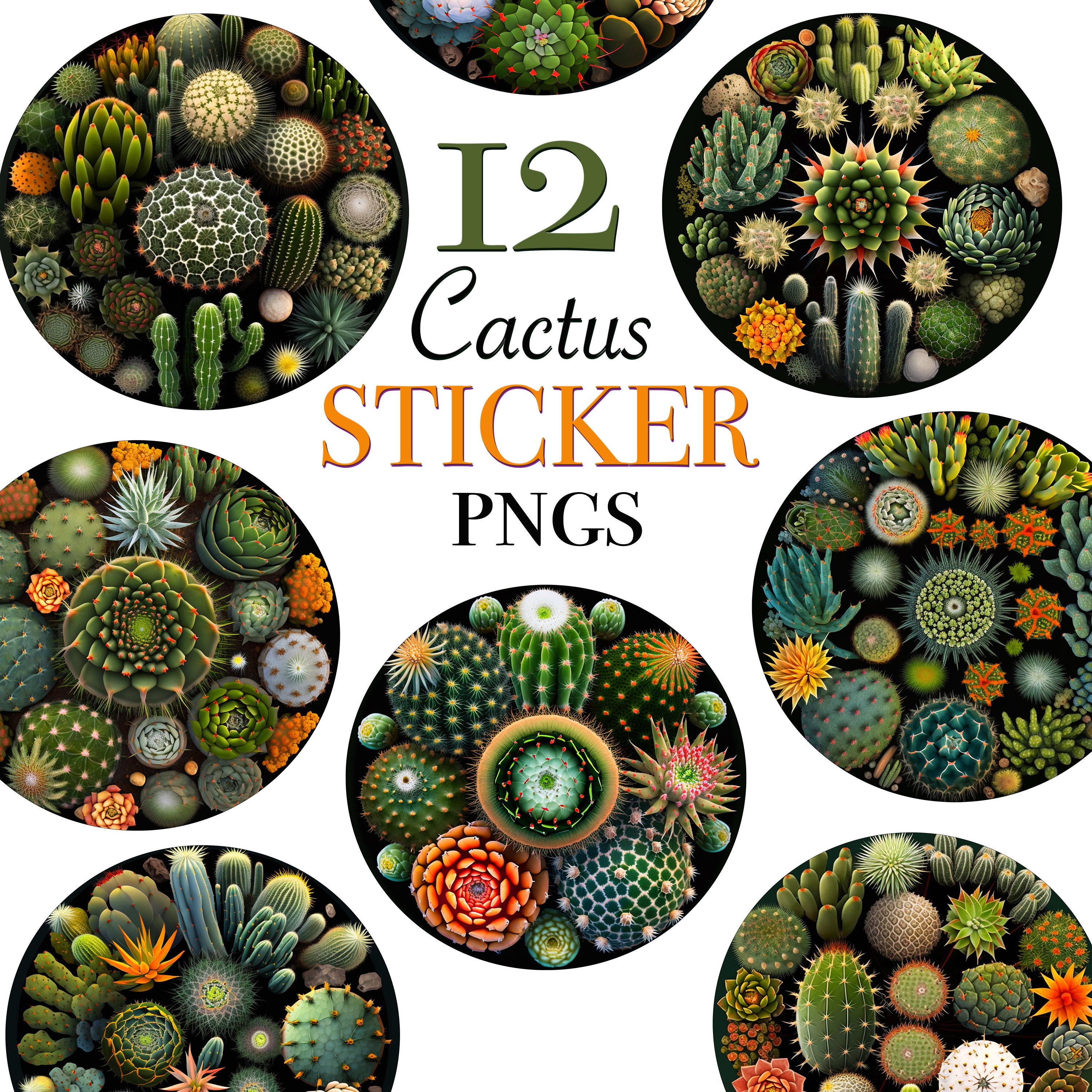 Cacti and Succulent Clipart Files for Instant Download, 12 Circular ...