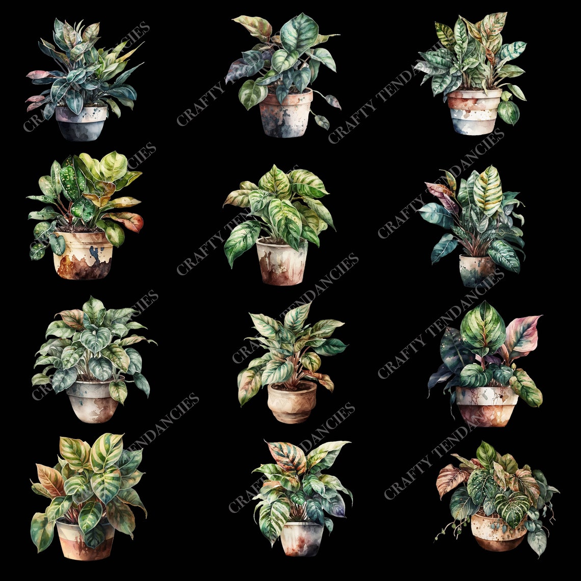 Watercolor House Plant Clipart PNG Files for Instant Download House ...
