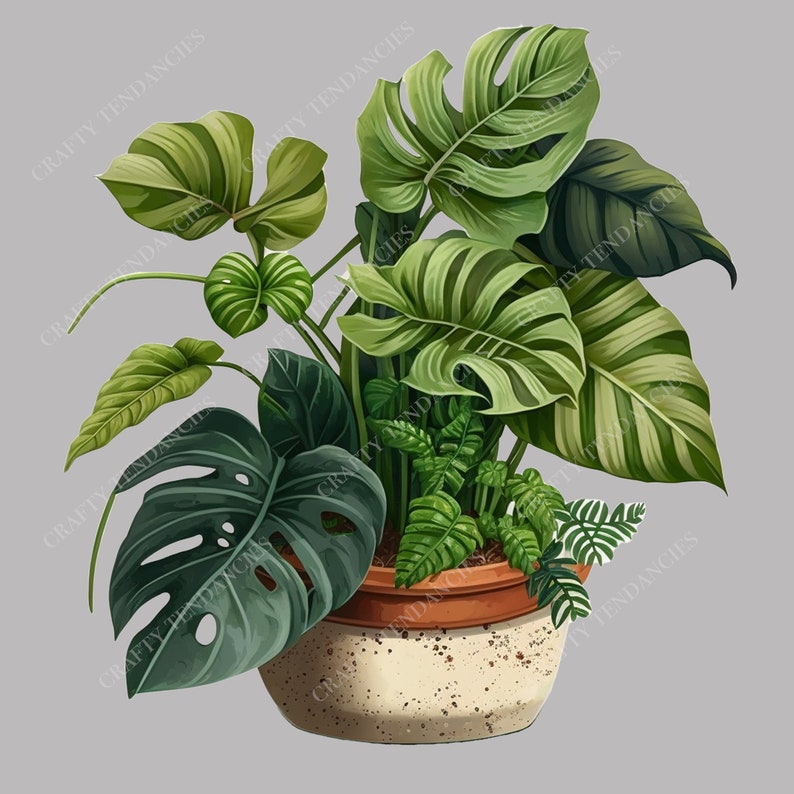 House Plant Clipart PNG Files for Instant Download Realistic House ...