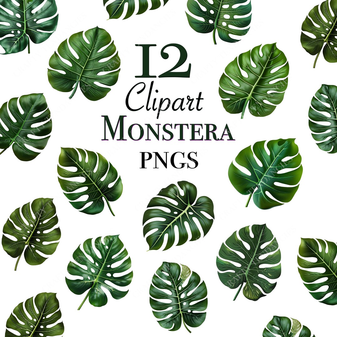 Monstera House Plant Clipart PNG Files for Instant Download Realistic ...