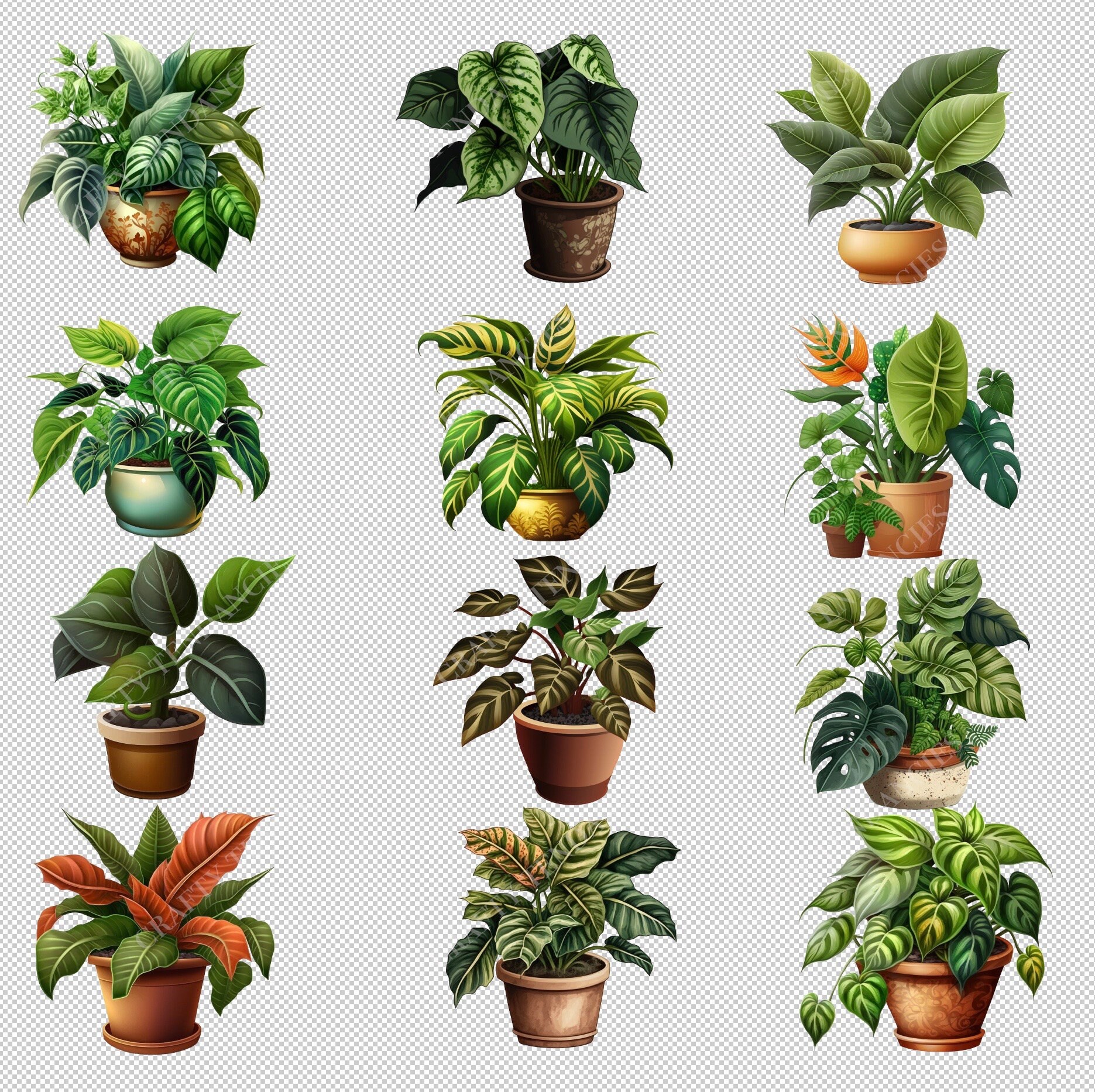 House Plant Clipart PNG Files for Instant Download Realistic House ...