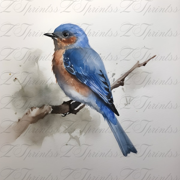 Bluebird Wall Art - Etsy