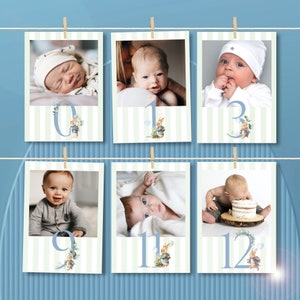 RABBIT Birthday Party Hats Rabbit Theme Peter Rabbit 1st Birthday Blue ...