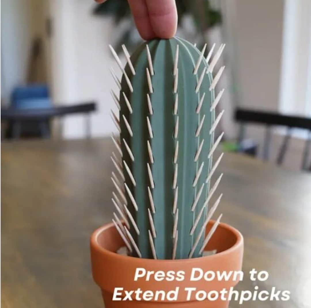 Cactus Toothpick Holder 3D Printed - Spring Mechanism to Extend ...