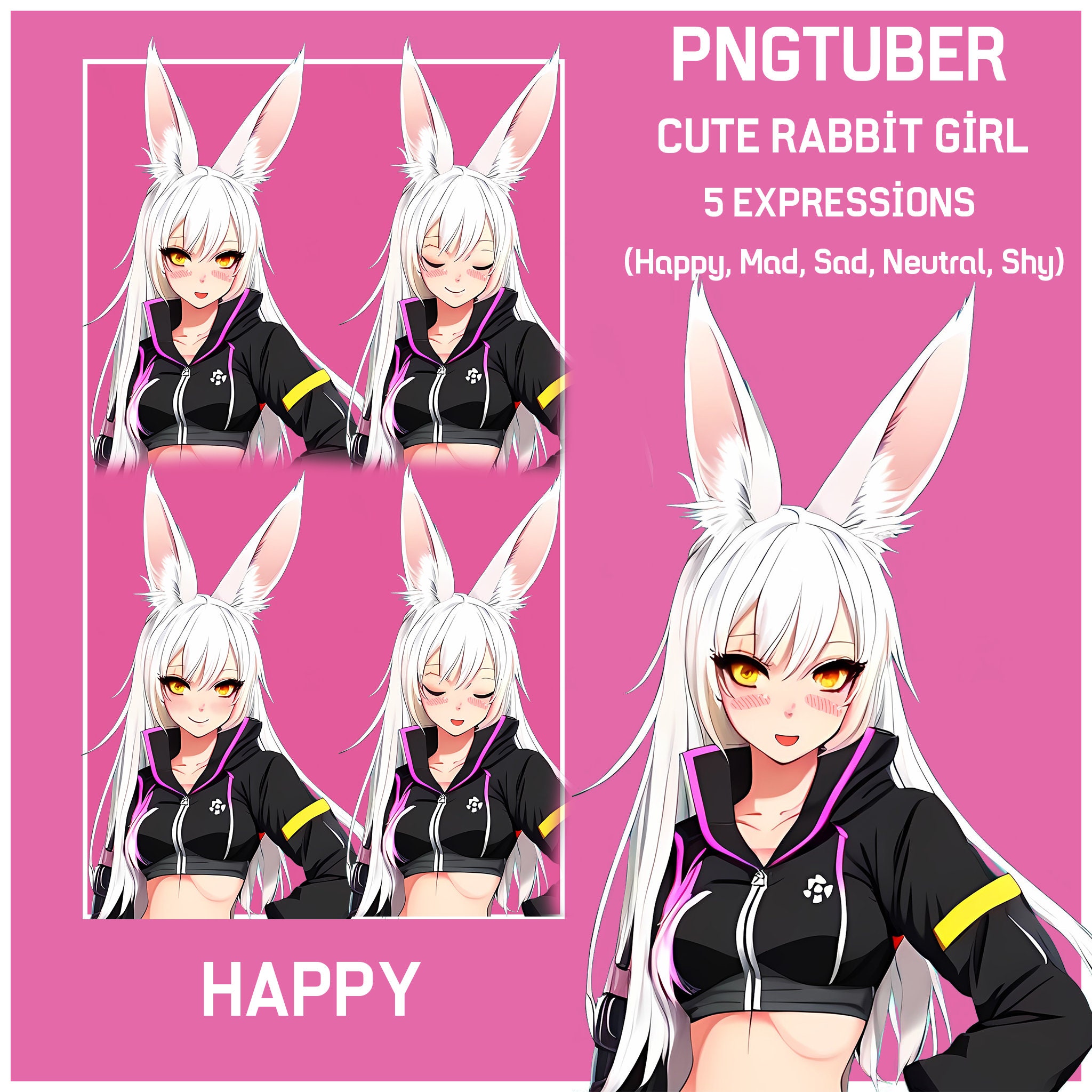 PNGTUBER Cute Bunny Girl Vtuber 5 Expressions Premade Streamer Female ...