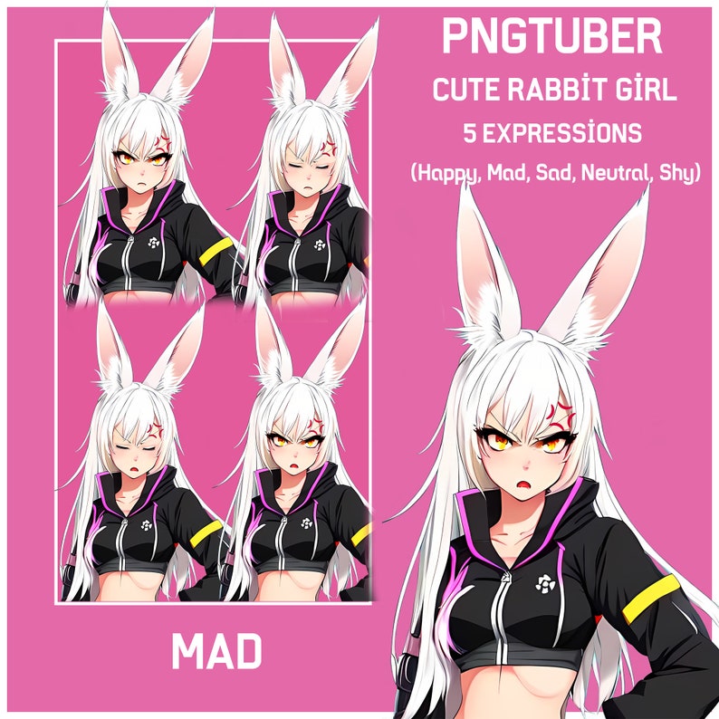 PNGTUBER Cute Bunny Girl Vtuber 5 Expressions Premade Streamer Female ...