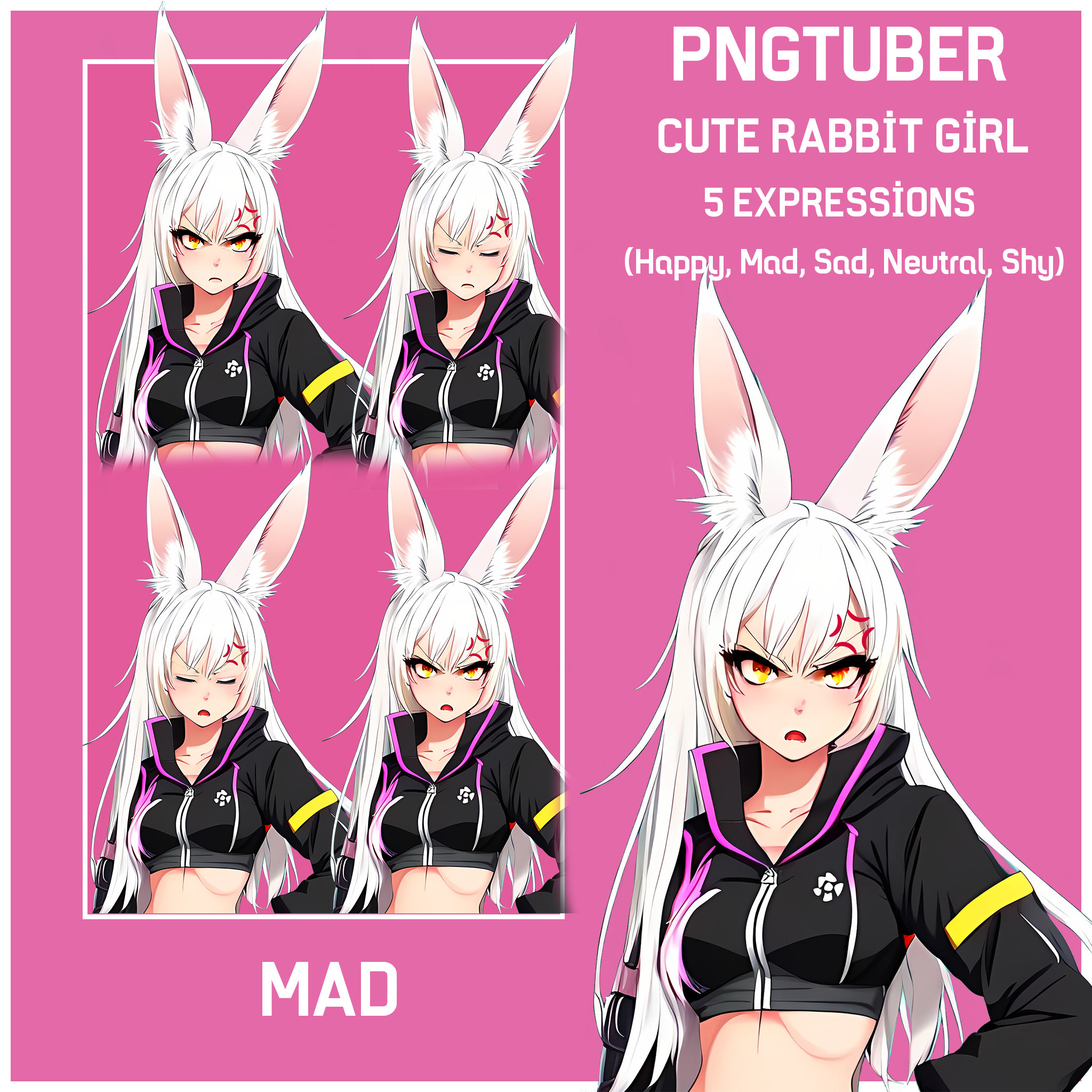 PNGTUBER Cute Bunny Girl Vtuber 5 Expressions Premade Streamer Female ...