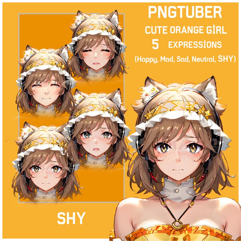 PNGTUBER Cute Orange Girl Vtuber 5 Expressions Premade Female Streamer Orange 2D Model Vtuber ...