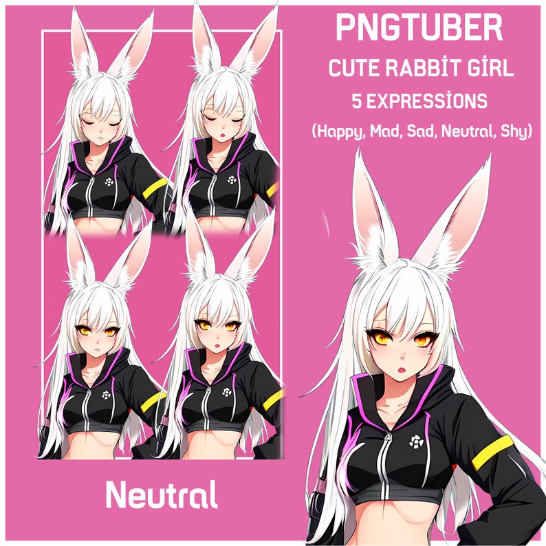 PNGTUBER - Cute Bunny Girl - Vtuber - 5 Expressions - Premade ...