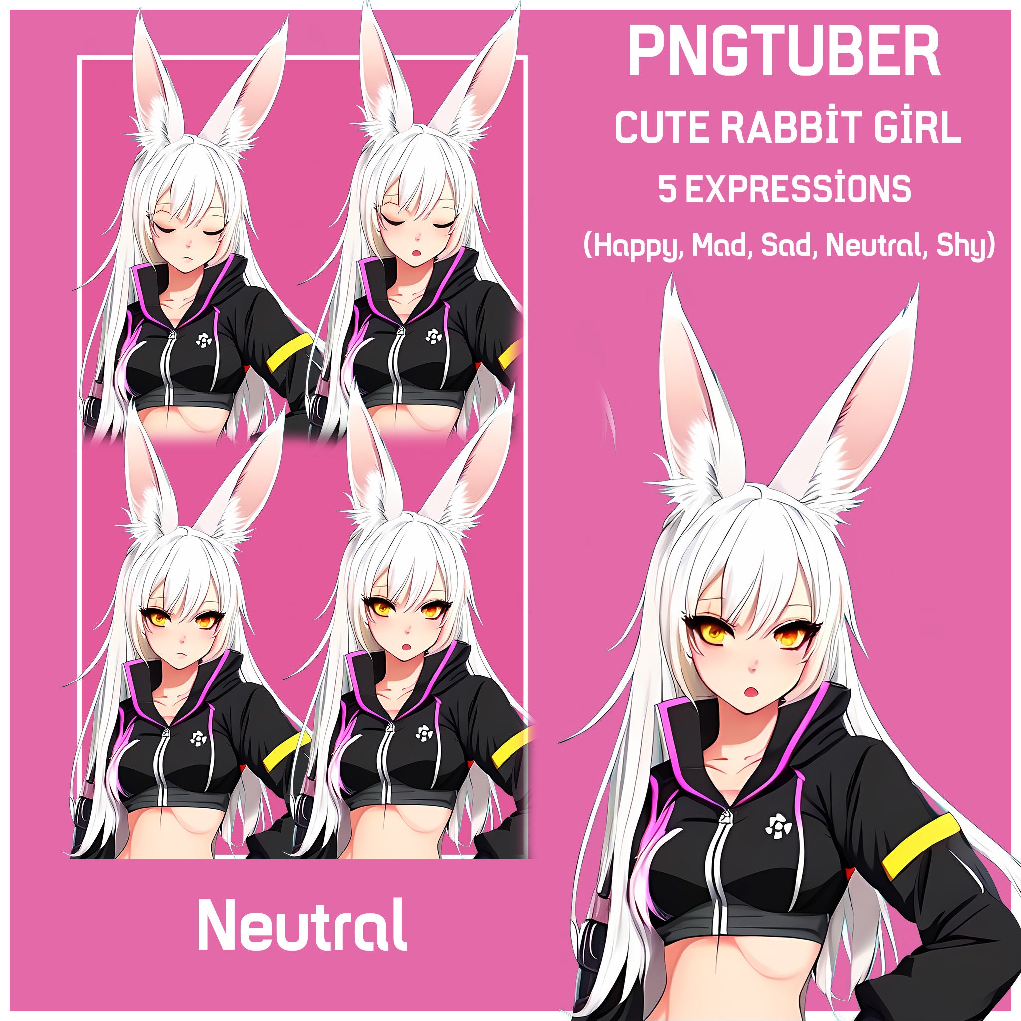 PNGTUBER - Cute Bunny Girl - Vtuber - 5 Expressions - Premade ...